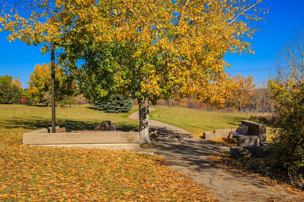 Lawson Heights - Search Saskatoon Real Estate - Margaret Burt